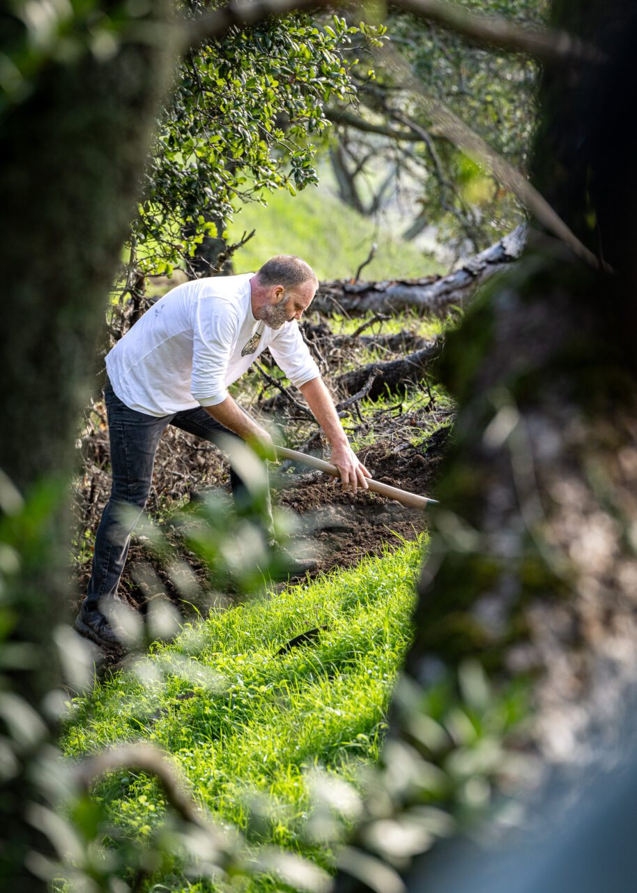 Epic Dirt makes for Epic Dig Days – Stewards of Briones