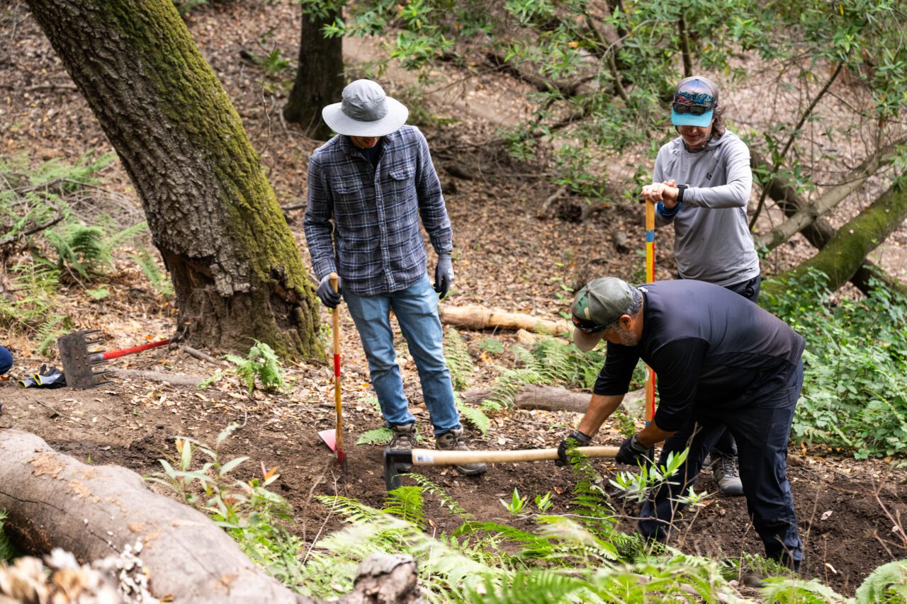 July 9th, Community Dig Day Report – Stewards of Briones