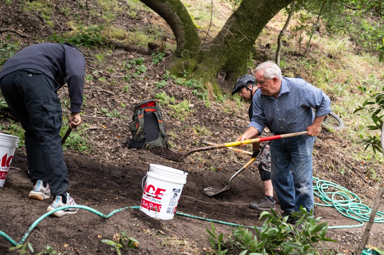 July 9th, Community Dig Day Report – Stewards of Briones